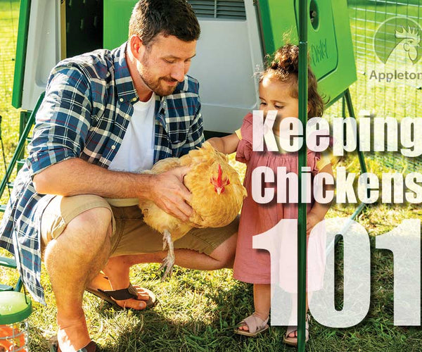 Keeping Chickens 101