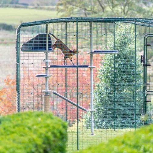 Premium Cat Enclosures in NZ - Appletons