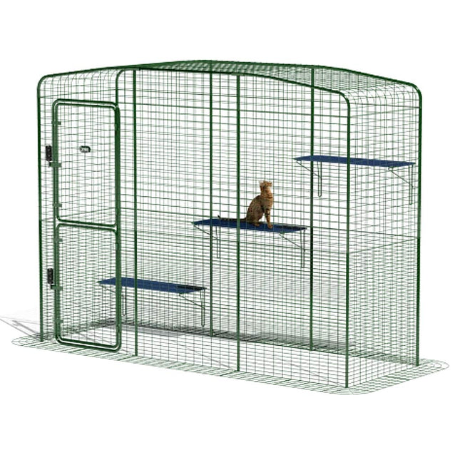 Premium Cat Enclosures in NZ - Appletons